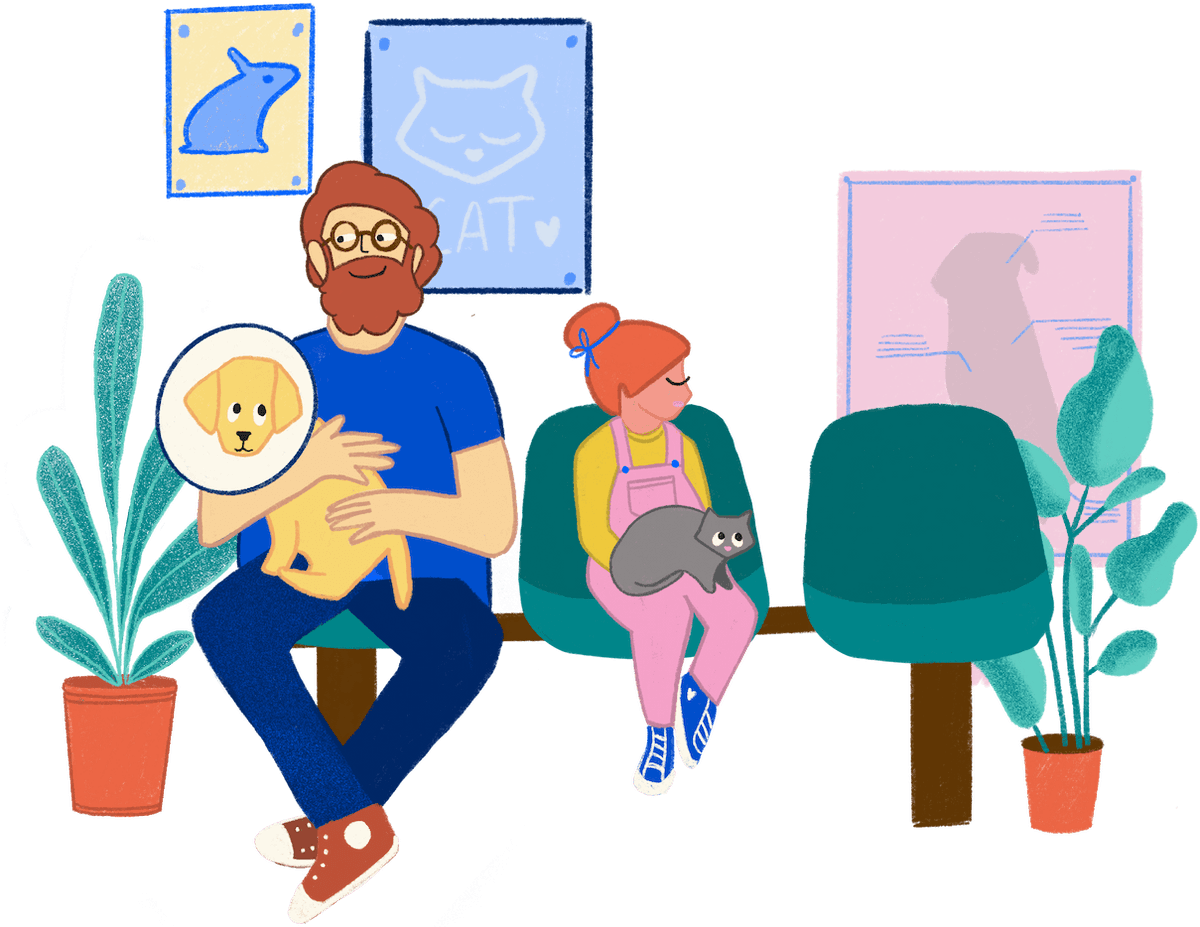 Vet portal | Napo Pet Insurance