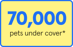 You want the best for your best friend. So do we. | Napo Pet Insurance