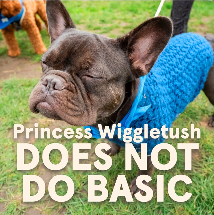 Napo Pet Care: Fight against basic insurance | Napo Pet Insurance