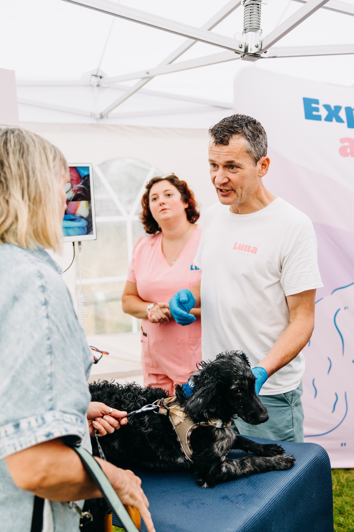 Everything you need to know about Patterdale Terriers | Napo Pet Insurance