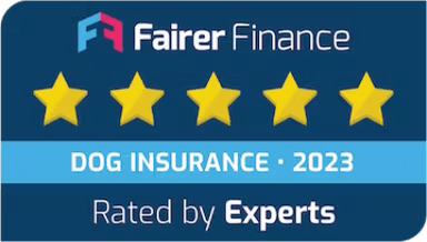 Fuss-free pet insurance with direct to vet payments | Napo Pet Insurance